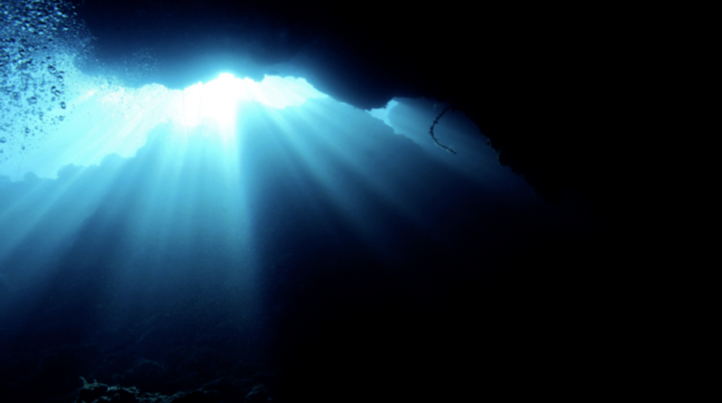 The Dangers of Deep-Sea Mining — Collaborative for Health & Environment